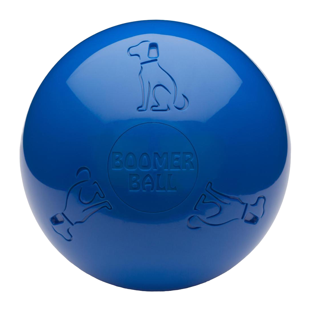 Boomer Ball – Zoogiganten